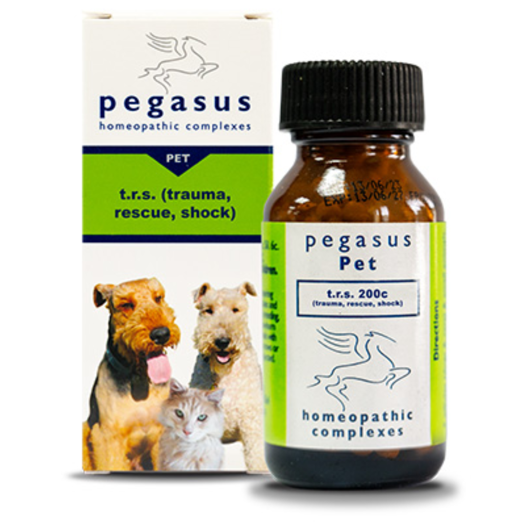 Pegasus trauma, rescue and shock 200cc – Salt of the Earth